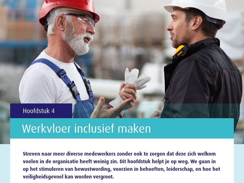 4 Werkvloer inclusief maken - DIB-aan-de-slag-met-D-en-I